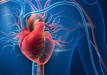 LE MALATTIE CARDIOVASCOLARI – LA CIVILTA' EGIZIA