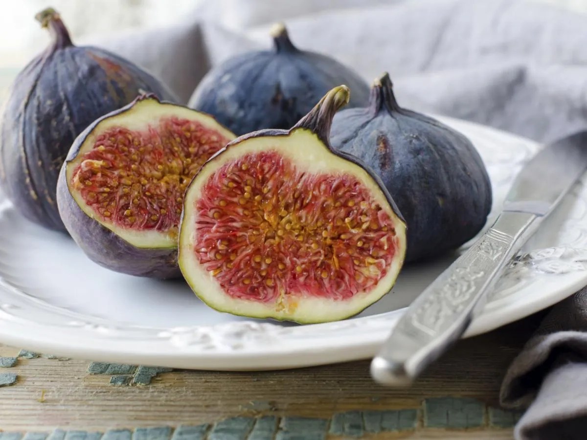 LE MALATTIE CARDIOVASCOLARI – LA CIVILTA' EGIZIA